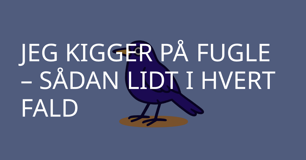 Jeg kigger på fugle – sådan lidt i hvert fald | SEMPER Magasin